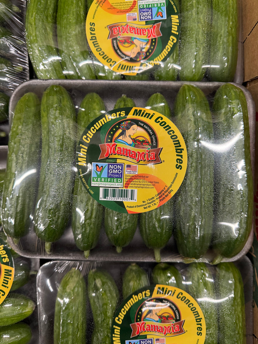 Mini Persian Cucumbers (Package) [ADD ON ONLY] – Westchester Produce
